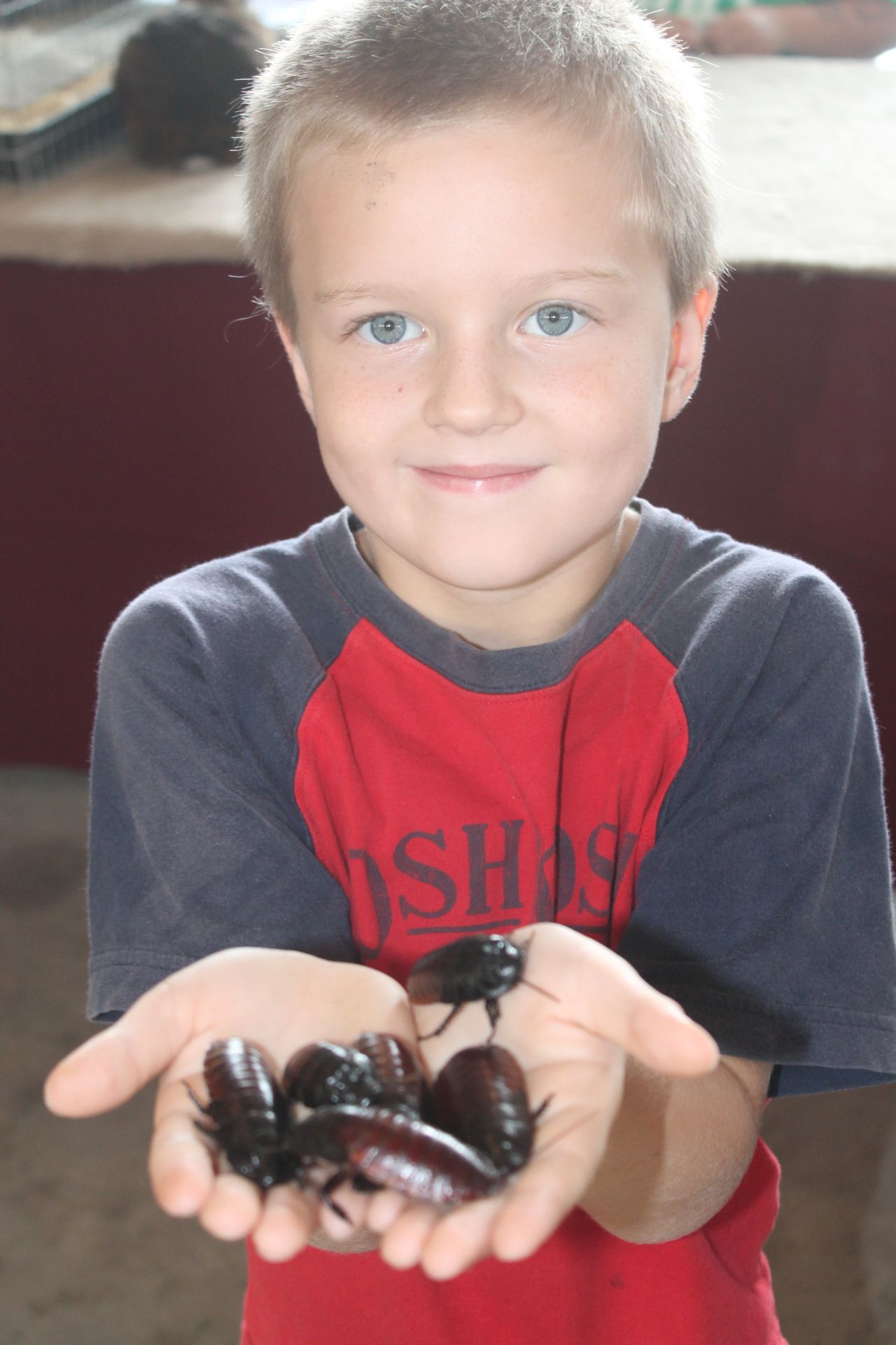 I’ve Got Bugs! – Ryan "The Bug Man" Bridge